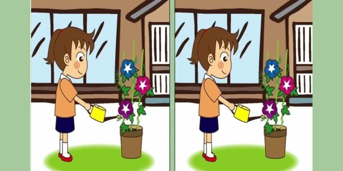 Trouvez la différence : Pouvez-vous voir les 3 différences en moins de ...